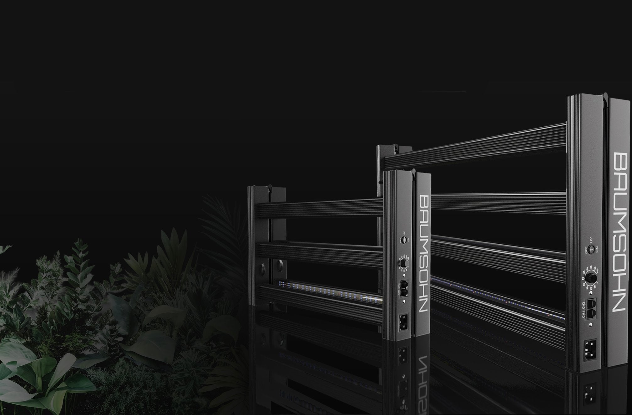 ProLine – Baumsohn GmbH