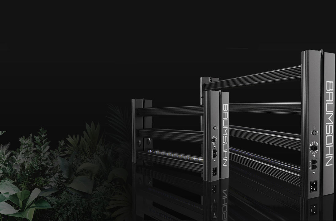 ProLine – Baumsohn GmbH